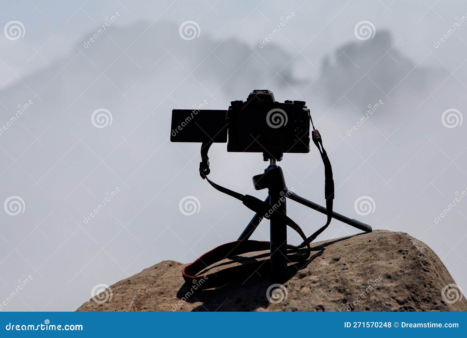 A Professional Camera with a Rotating Screen on a Tripod Shooting the ...