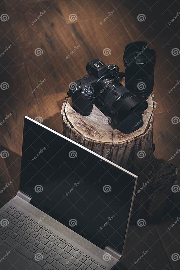 Professional Camera on Tree Trunk and Laptop Stock Image - Image of ...