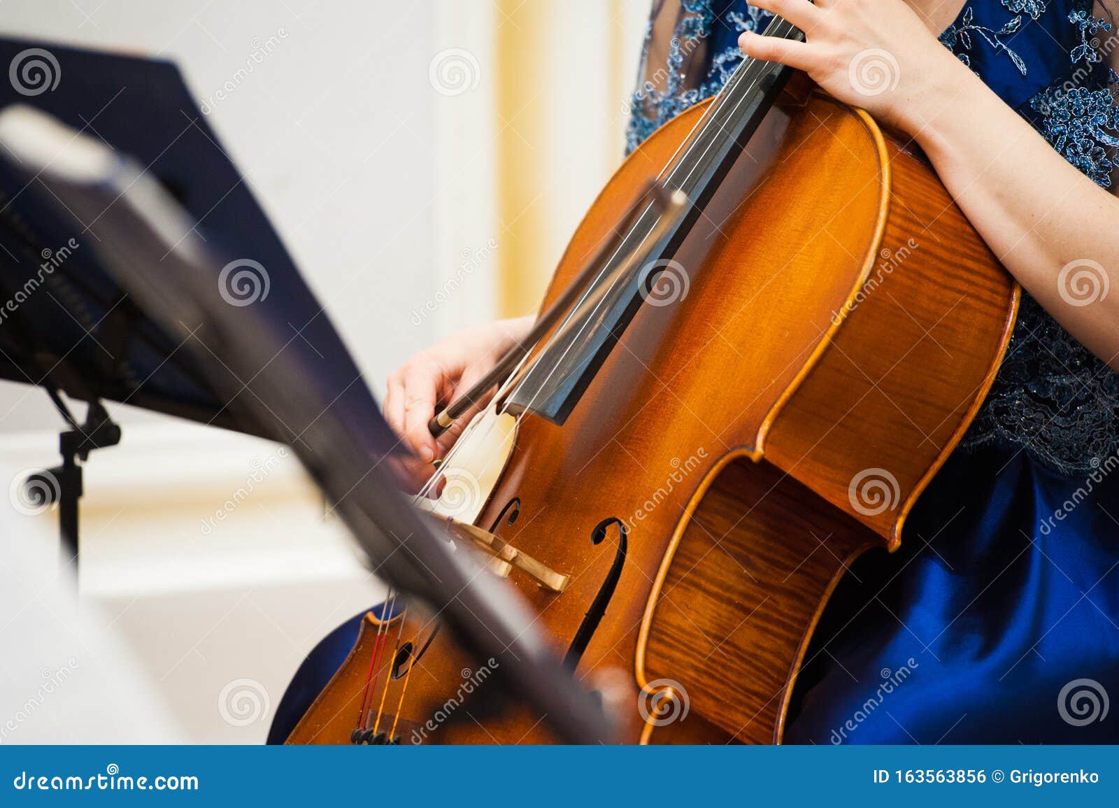 Professional Cello Player`s Hands Close Up Stock Photo - Image of play ...