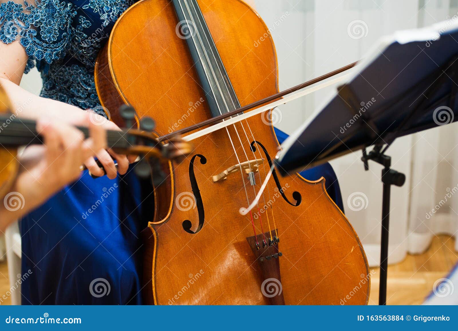 Professional Cello Player`s Hands Close Up Stock Photo - Image of arts ...