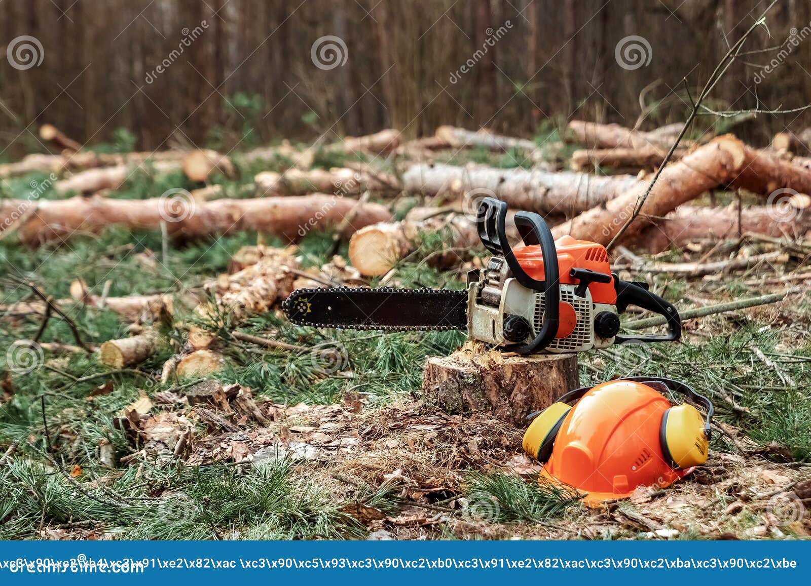 Professional Chainsaw Close Up, Logging. Cutting Down Trees, Forest ...