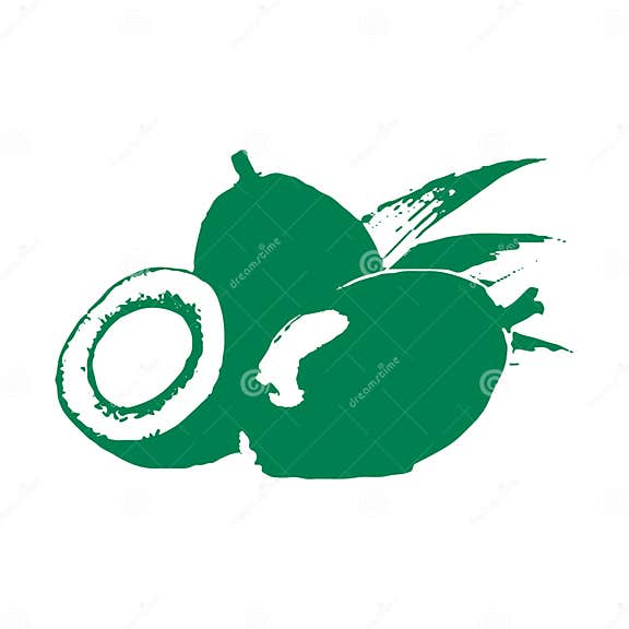 Professional Coconut Fruit Vector Art Stock Illustration - Illustration ...