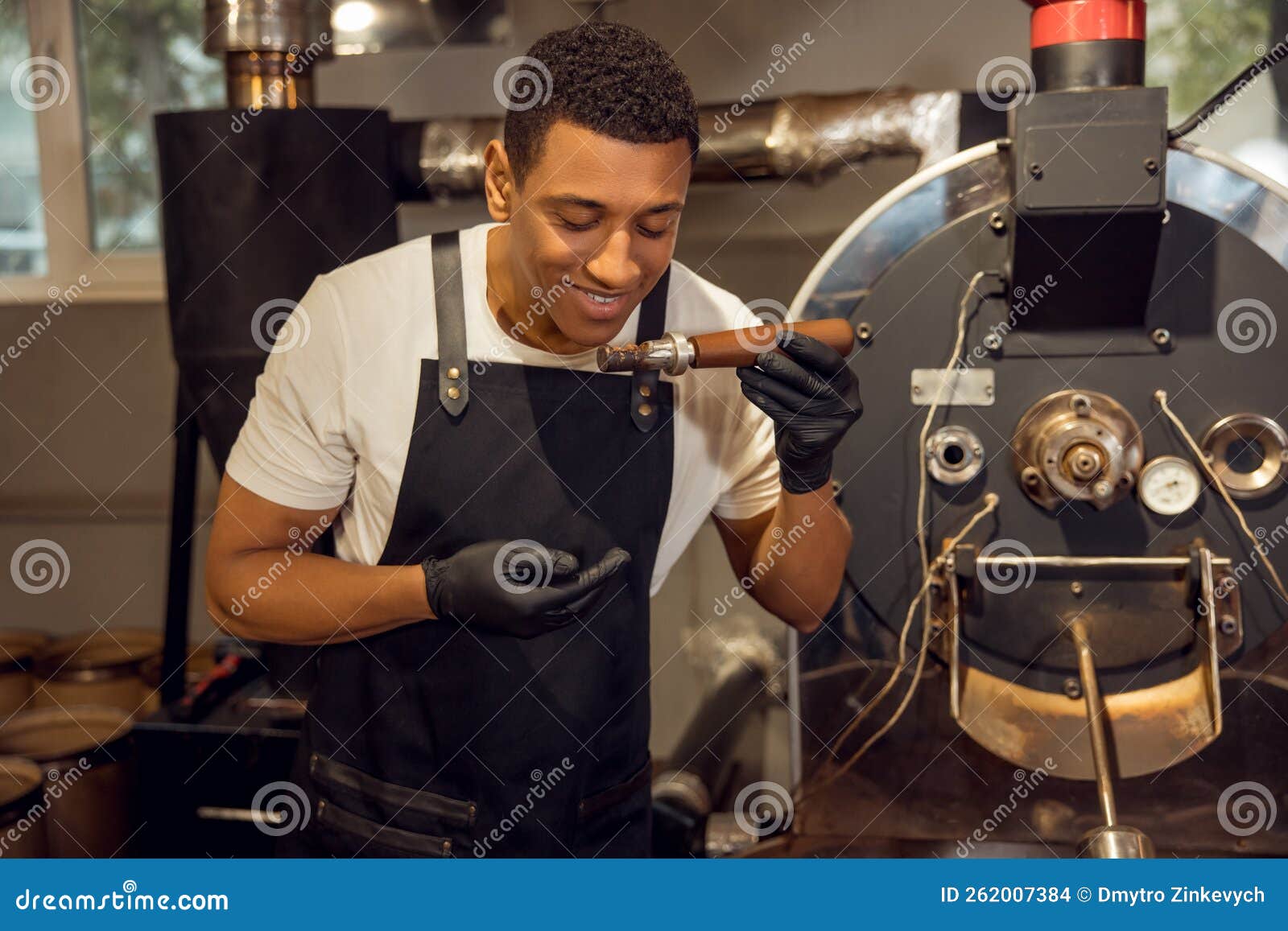 Professional Coffee Roaster Checking the Coffee Roast Degree Stock ...