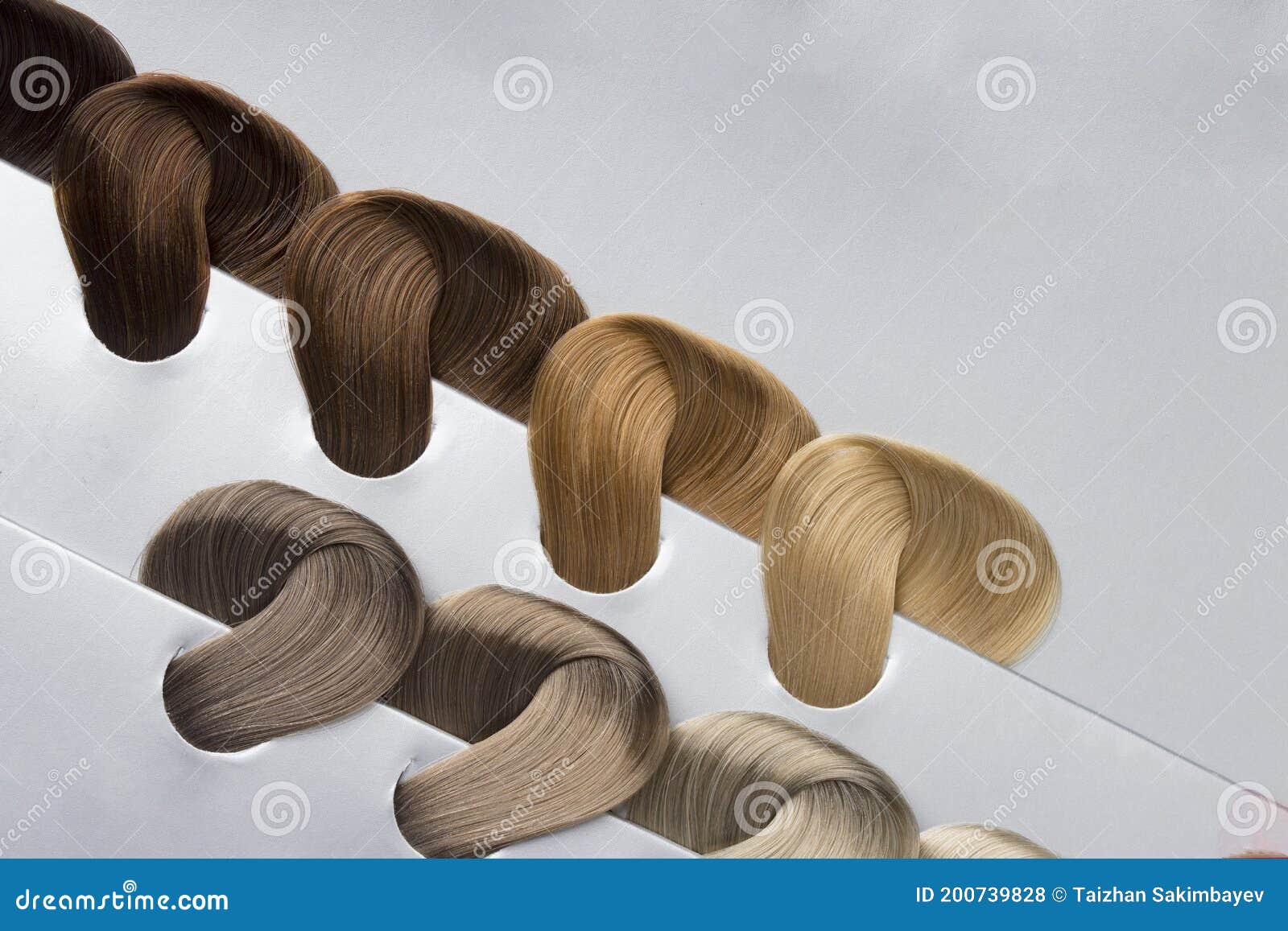 Professional Coloring Concept . Hair Colors Sample Close Up Stock Photo ...
