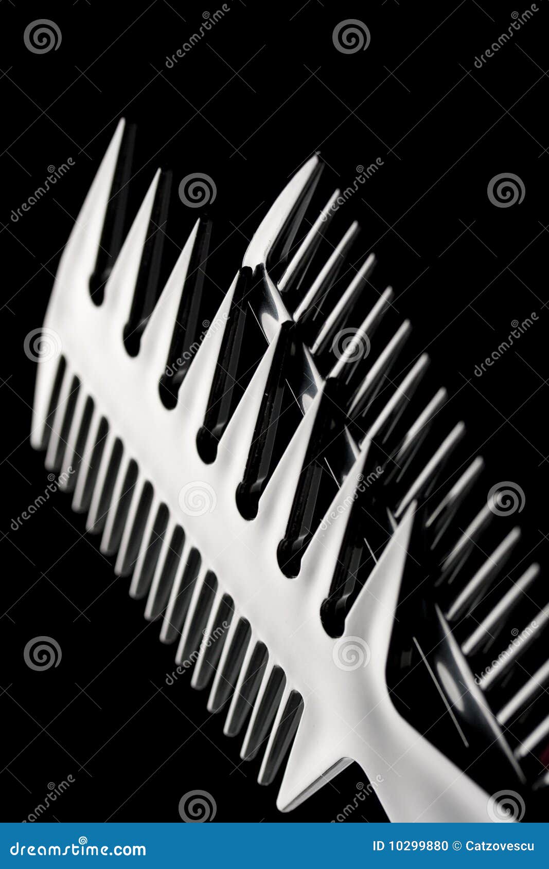 Professional combs stock photo. Image of hair, care, arrange - 10299880