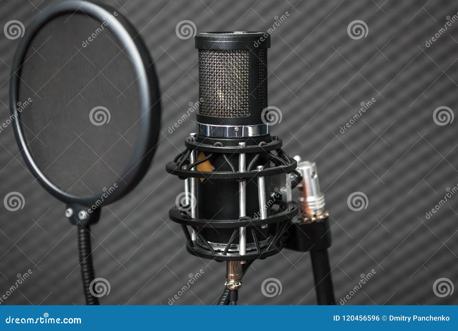 Professional Condenser Studio Microphone. Stock Photo - Image of shield ...