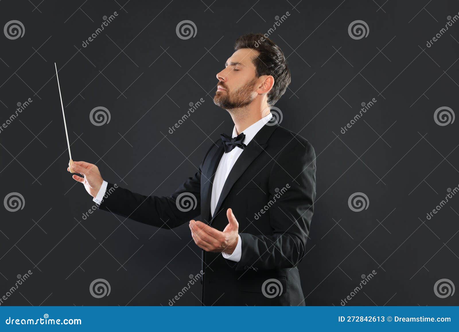 Professional Conductor with Baton on Black Background Stock Image ...