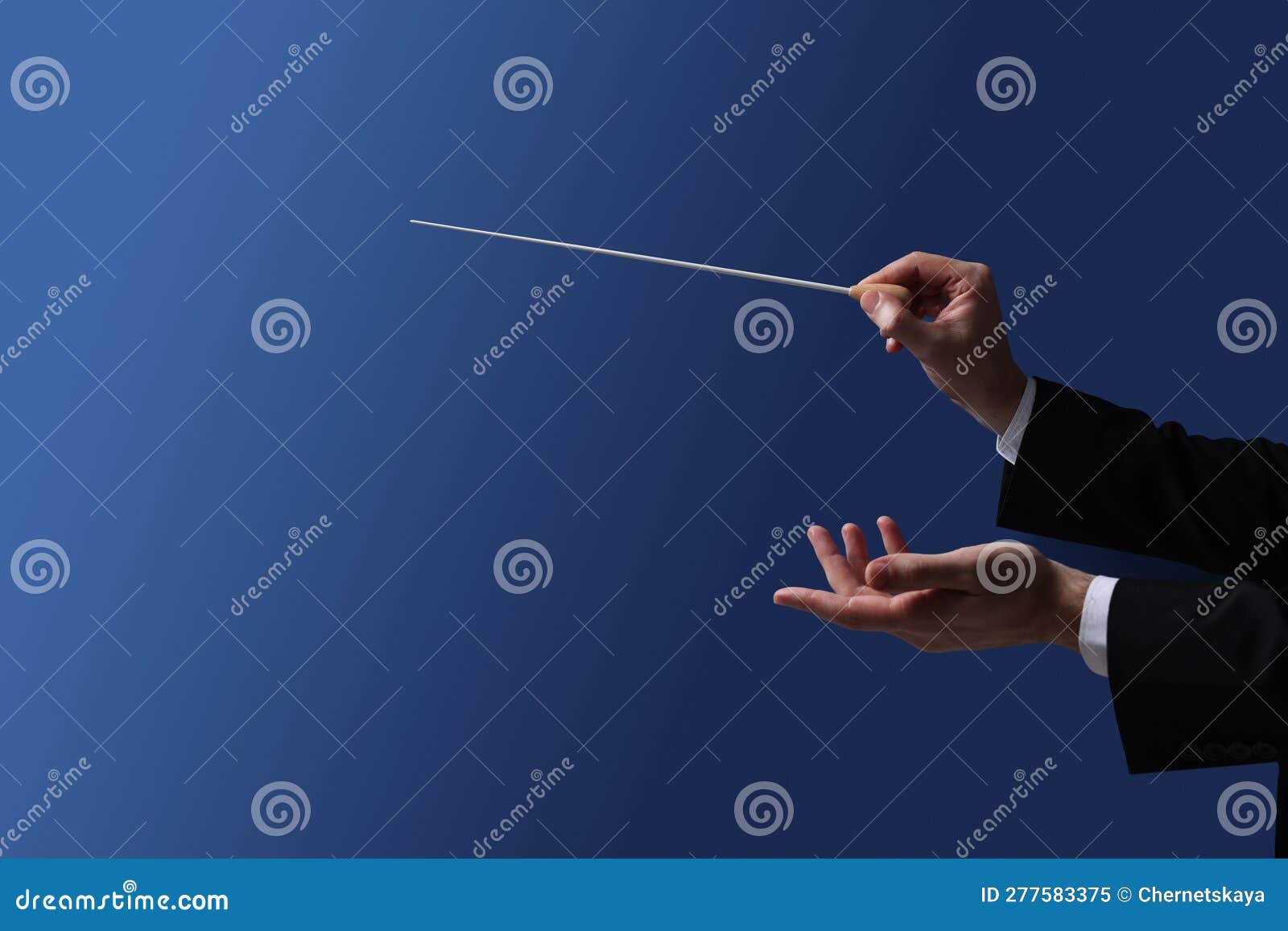 Professional Conductor with Baton on Blue Background, Closeup Stock ...