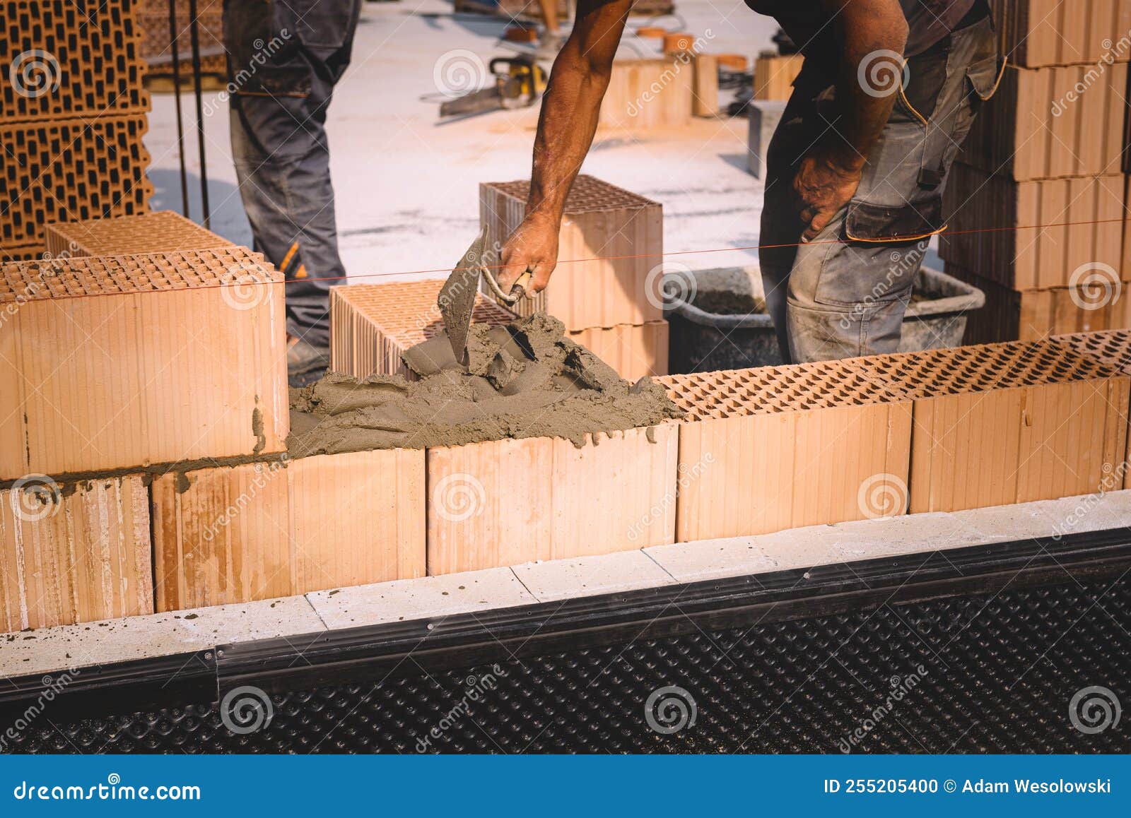 Professional Construction Worker Laying Bricks and Mortar - Building ...