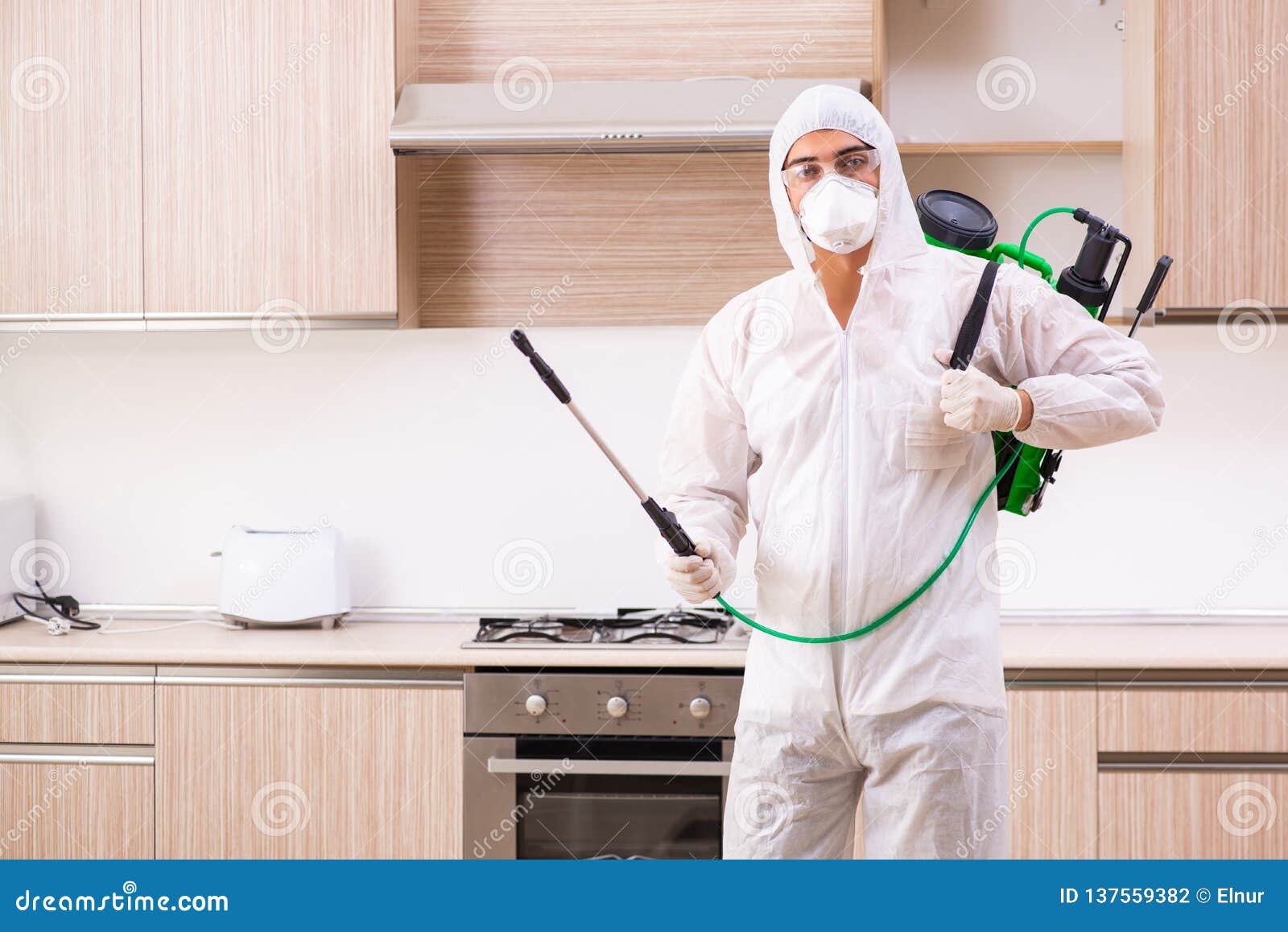 The Professional Contractor Doing Pest Control at Kitchen Stock Photo ...