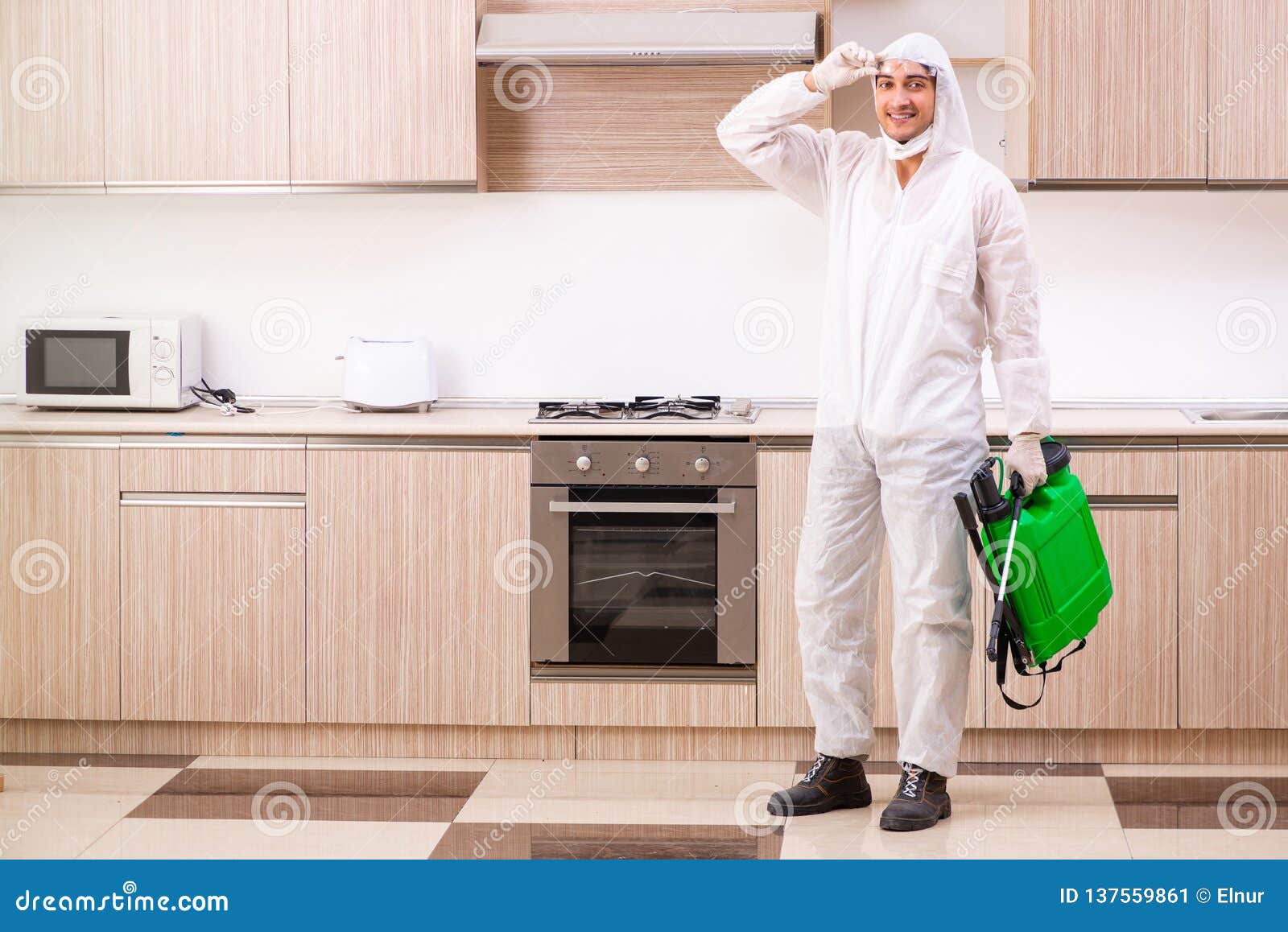 The Professional Contractor Doing Pest Control at Kitchen Stock Image ...