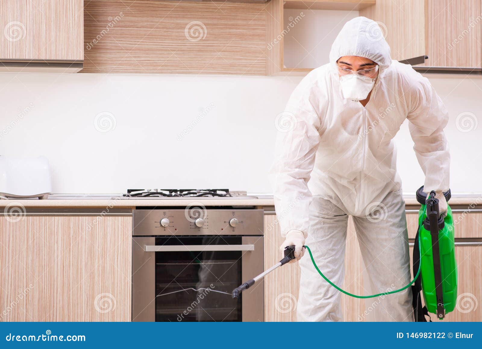 The Professional Contractor Doing Pest Control at Kitchen Stock Photo ...