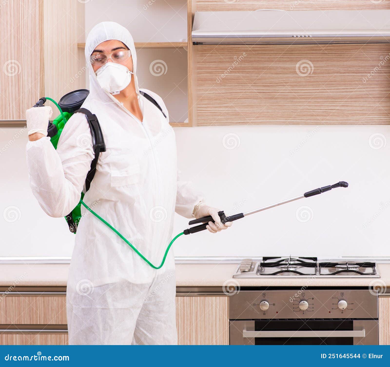 Professional Contractor Doing Pest Control at Kitchen Stock Photo ...