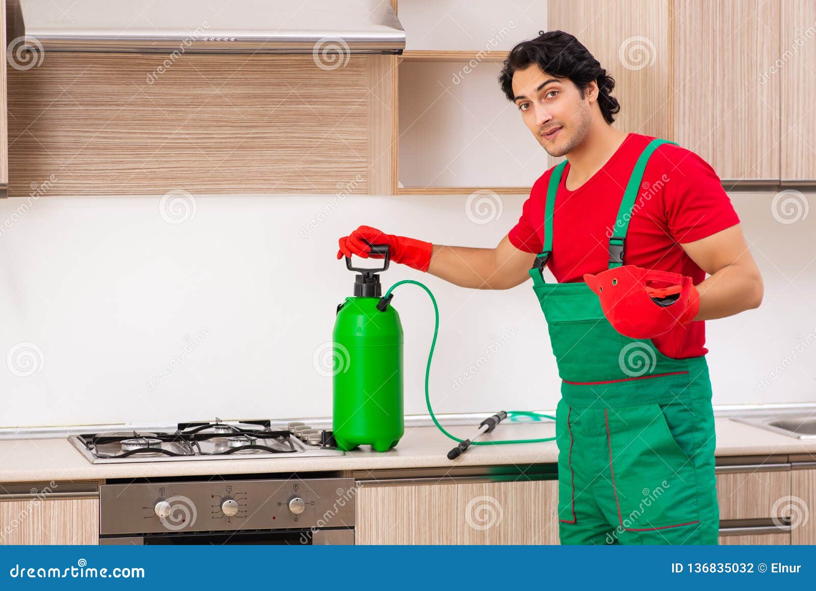The Professional Contractor Doing Pest Control at Kitchen Stock Photo ...