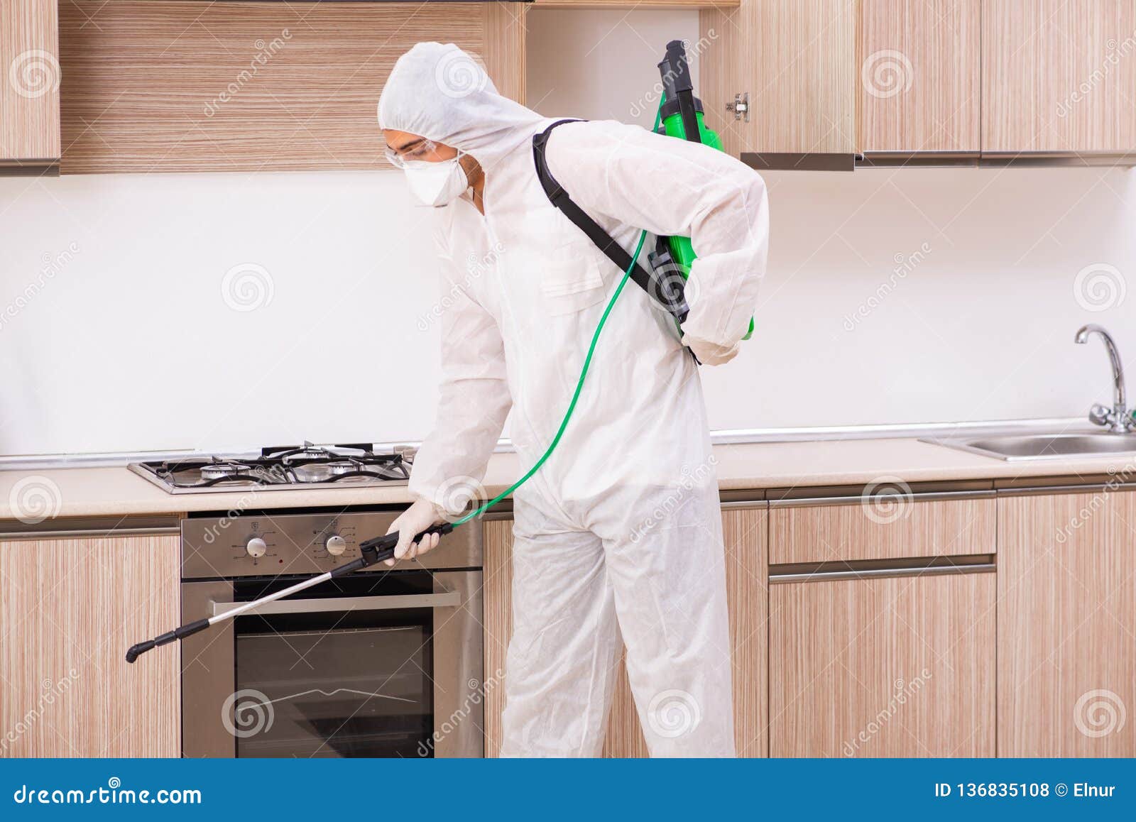 The Professional Contractor Doing Pest Control at Kitchen Stock Photo ...
