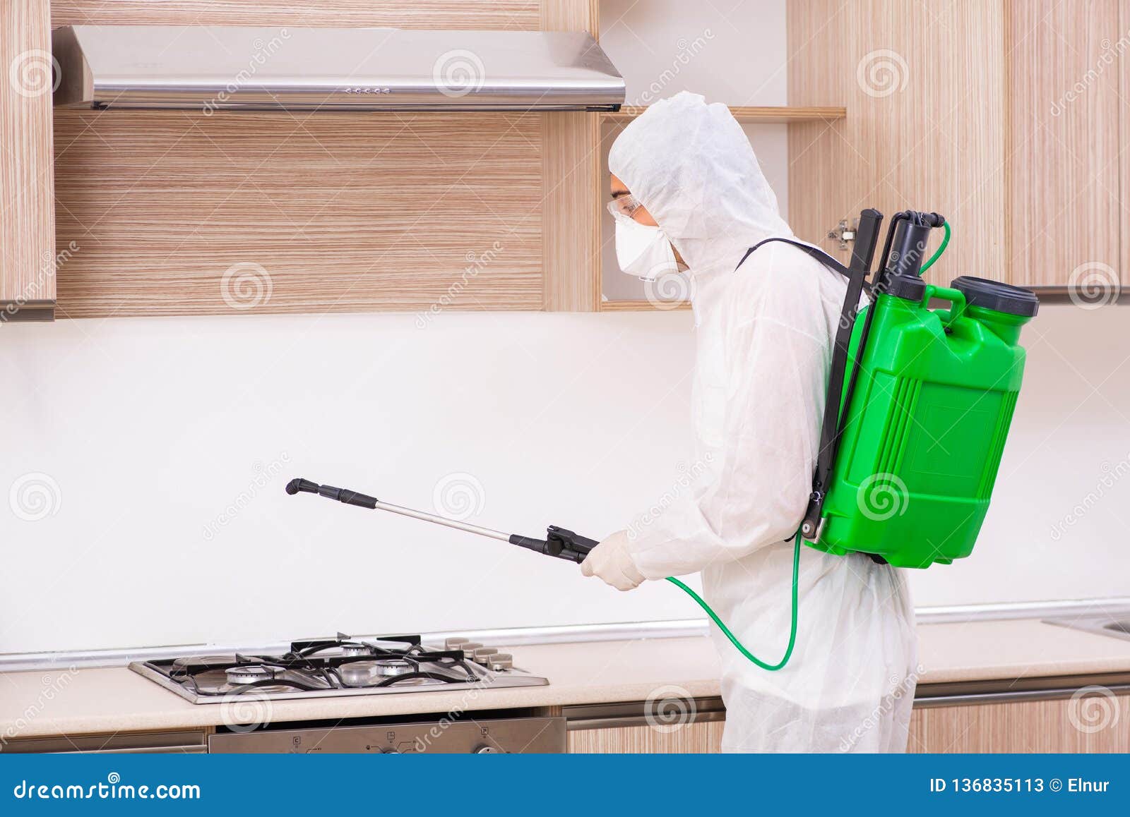The Professional Contractor Doing Pest Control at Kitchen Stock Image ...