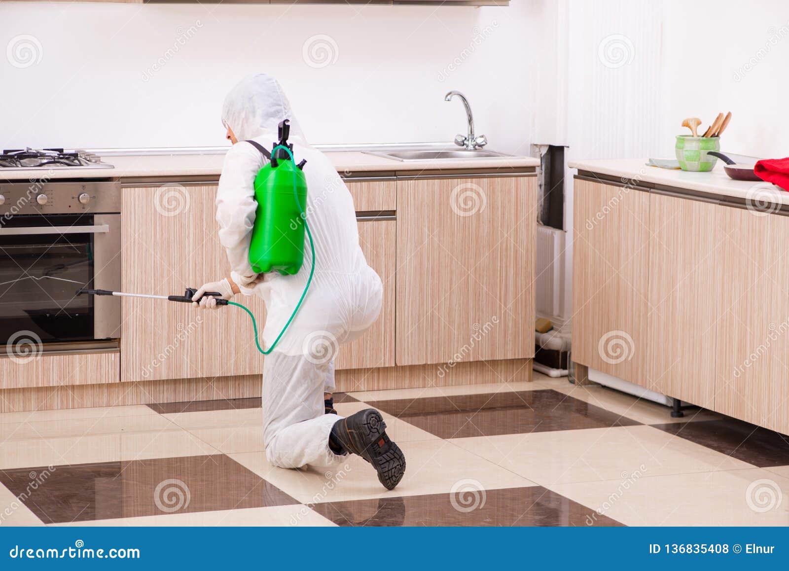 The Professional Contractor Doing Pest Control at Kitchen Stock Photo ...