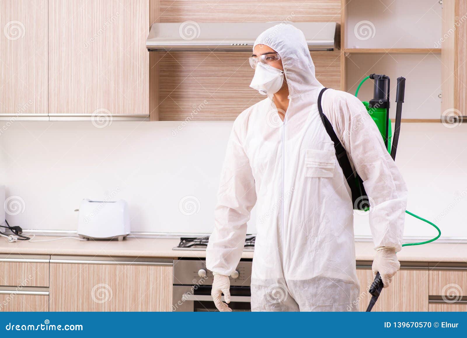 The Professional Contractor Doing Pest Control at Kitchen Stock Photo ...