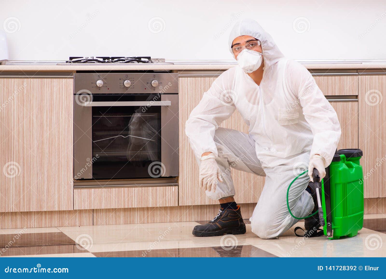 The Professional Contractor Doing Pest Control at Kitchen Stock Photo ...