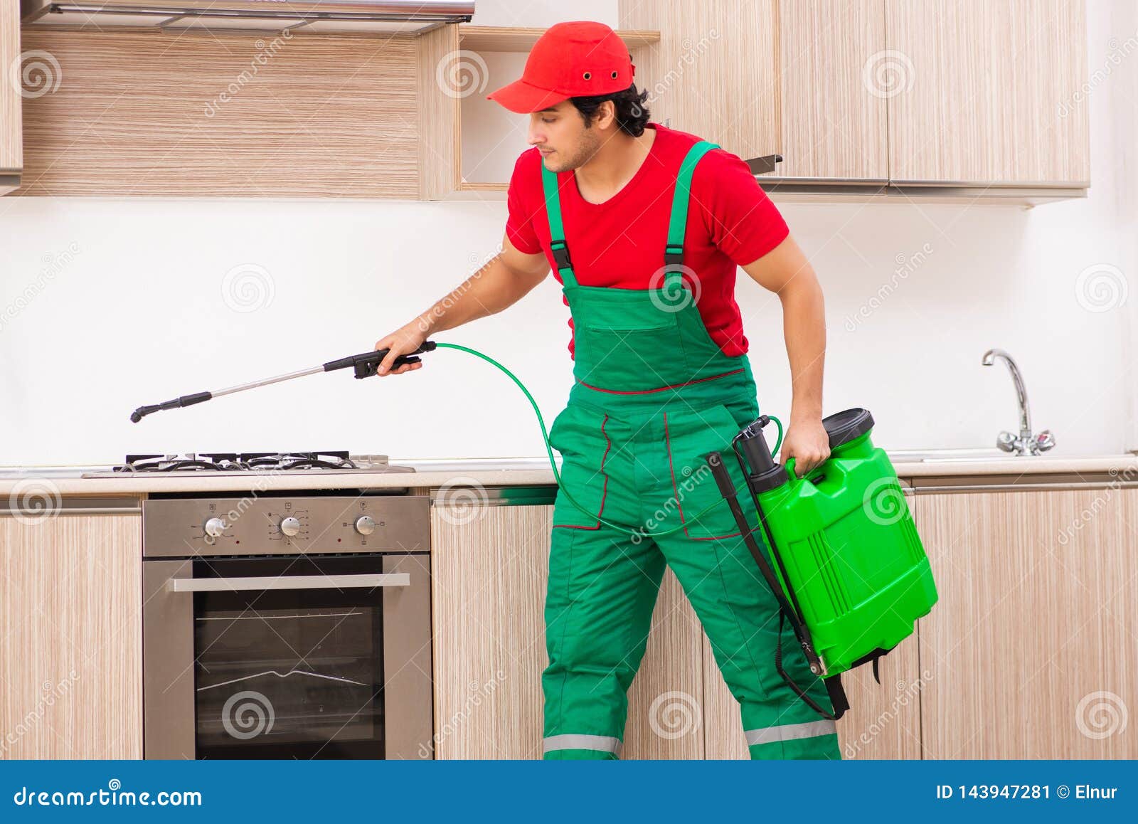 The Professional Contractor Doing Pest Control at Kitchen Stock Image ...