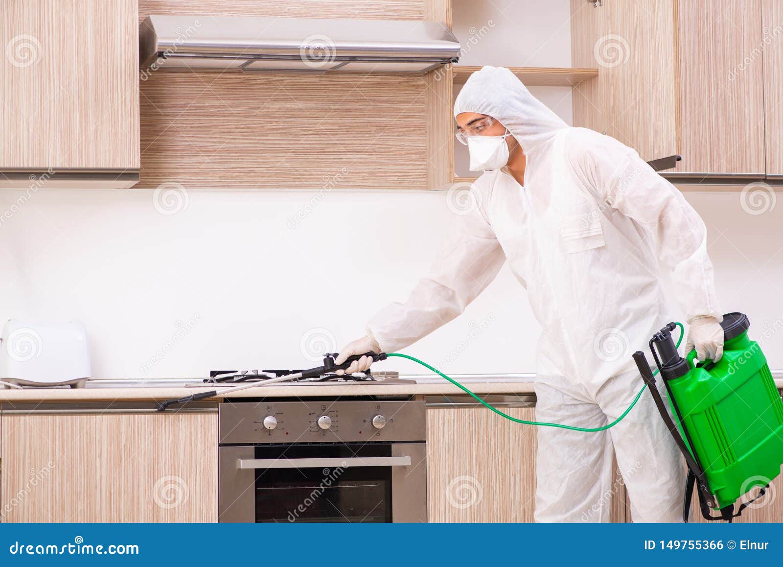 Professional Contractor Doing Pest Control at Kitchen Stock Photo ...