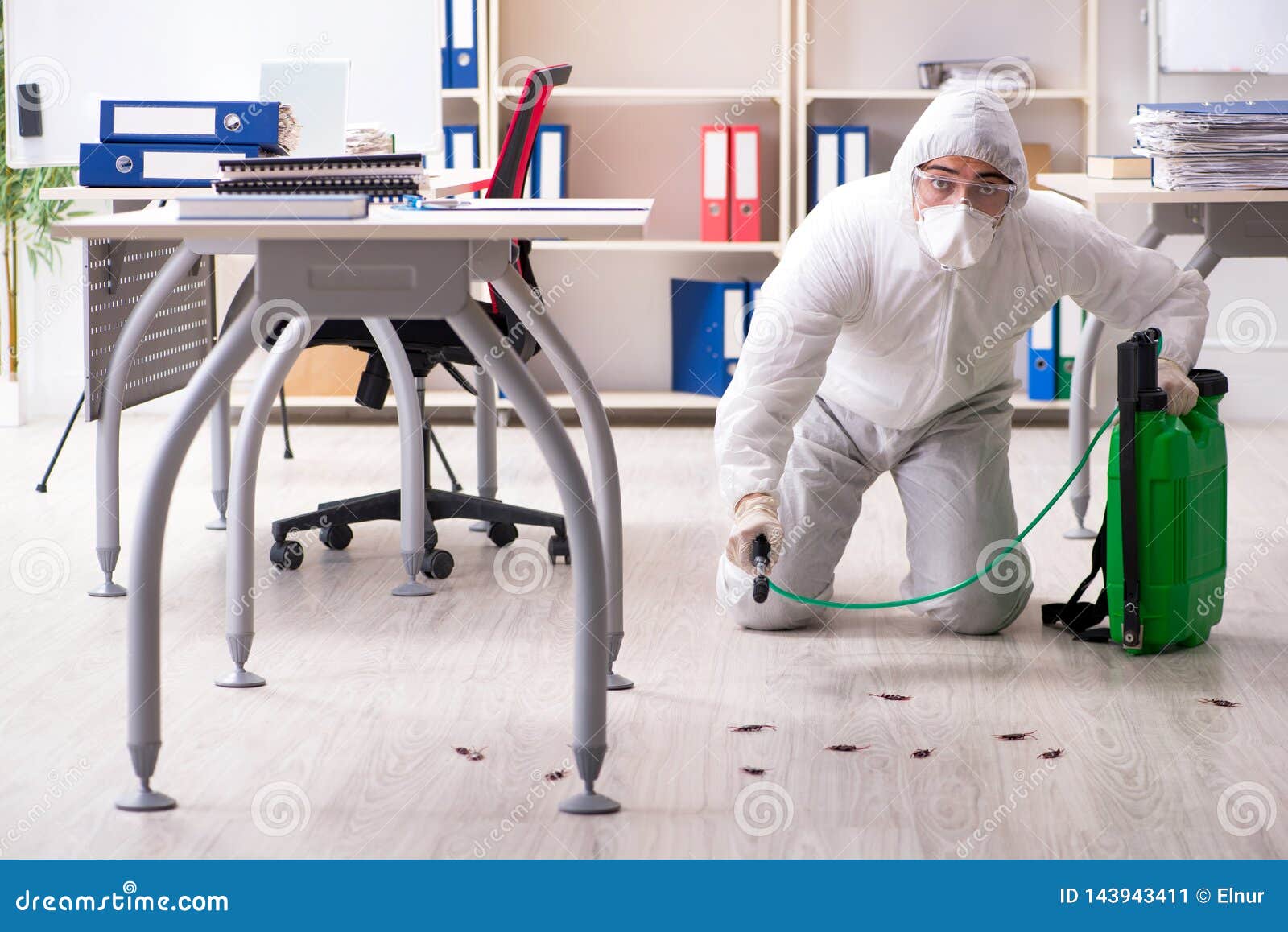 The Professional Contractor Doing Pest Control at Office Stock Image ...