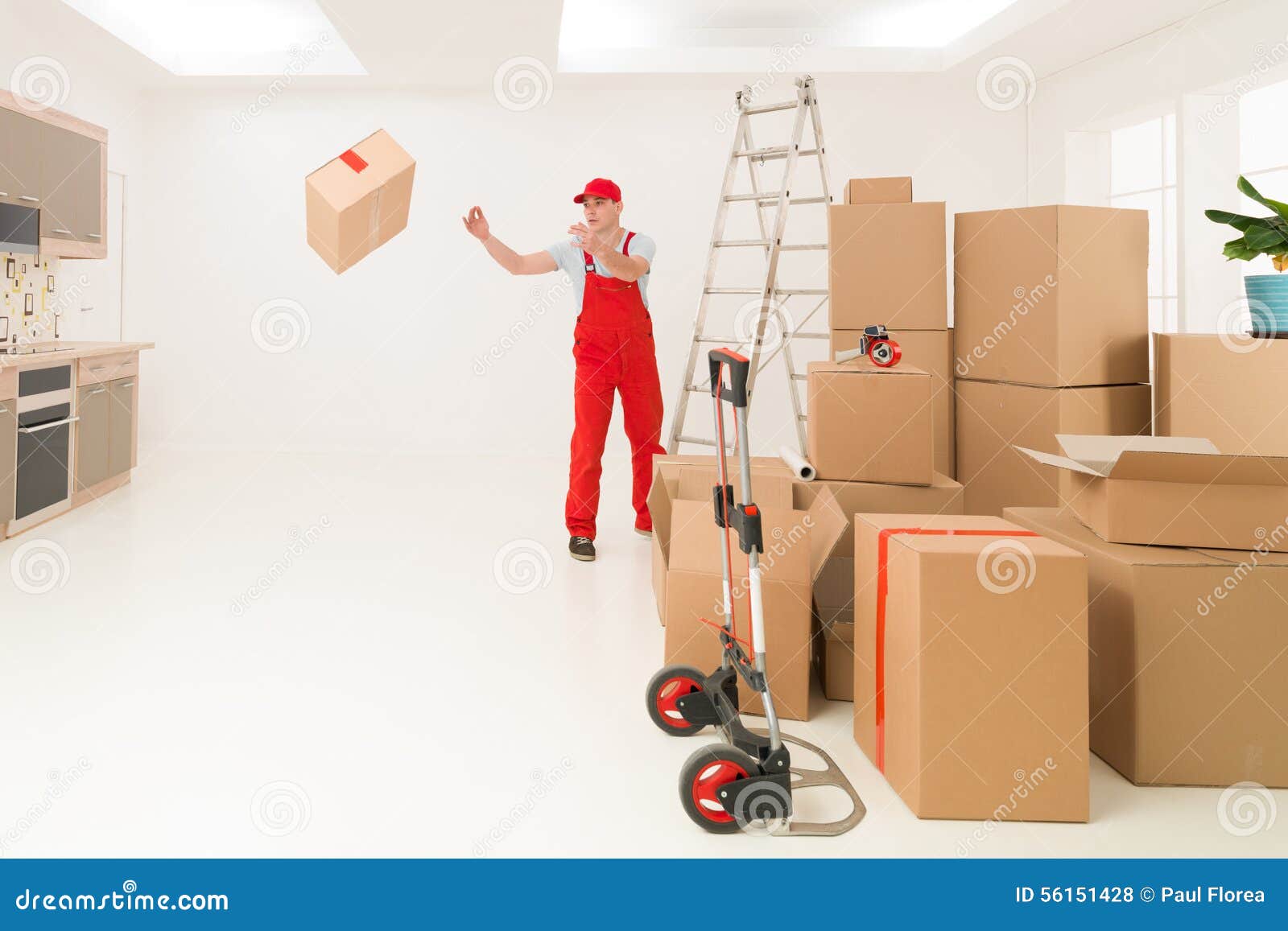 Professional Delivery Service Stock Photo - Image of occupation, cargo ...