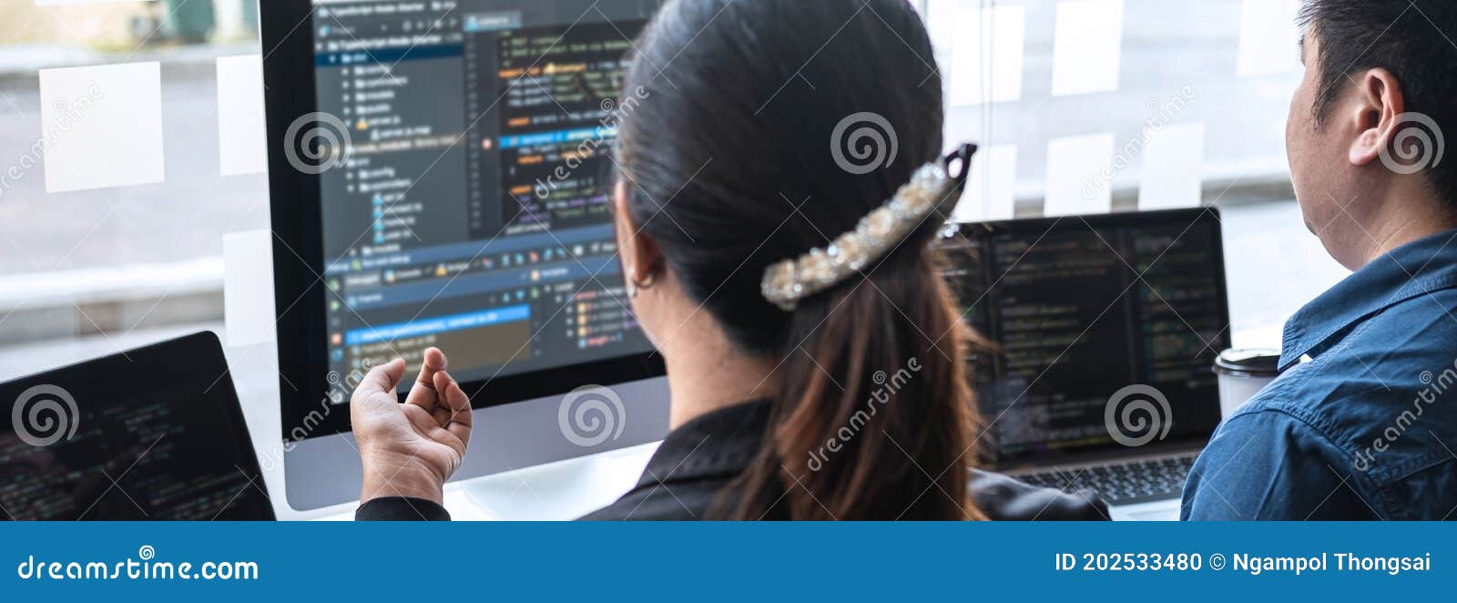 Professional Developer Programmer Cooperation Meeting and Brainstorming and Programming in ...