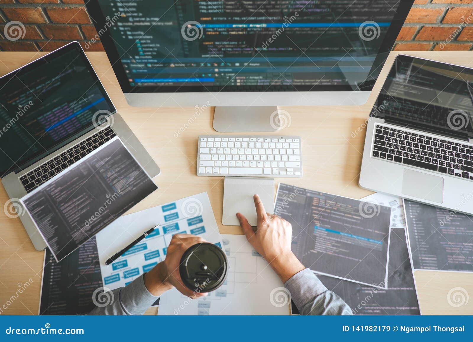 Professional Developer Programmer Working a Software Website Design and Coding Technology ...