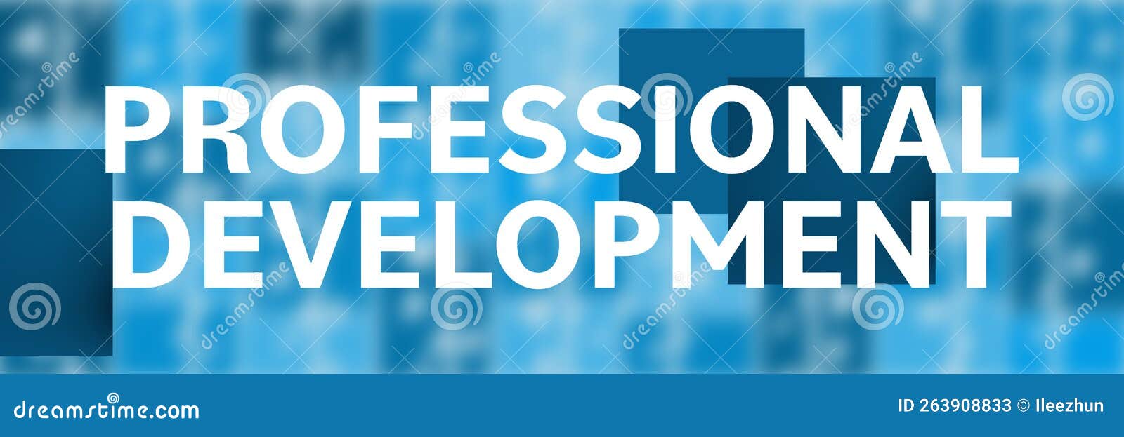 Professional Development Blue Blur Background Boxes Text Horizontal ...