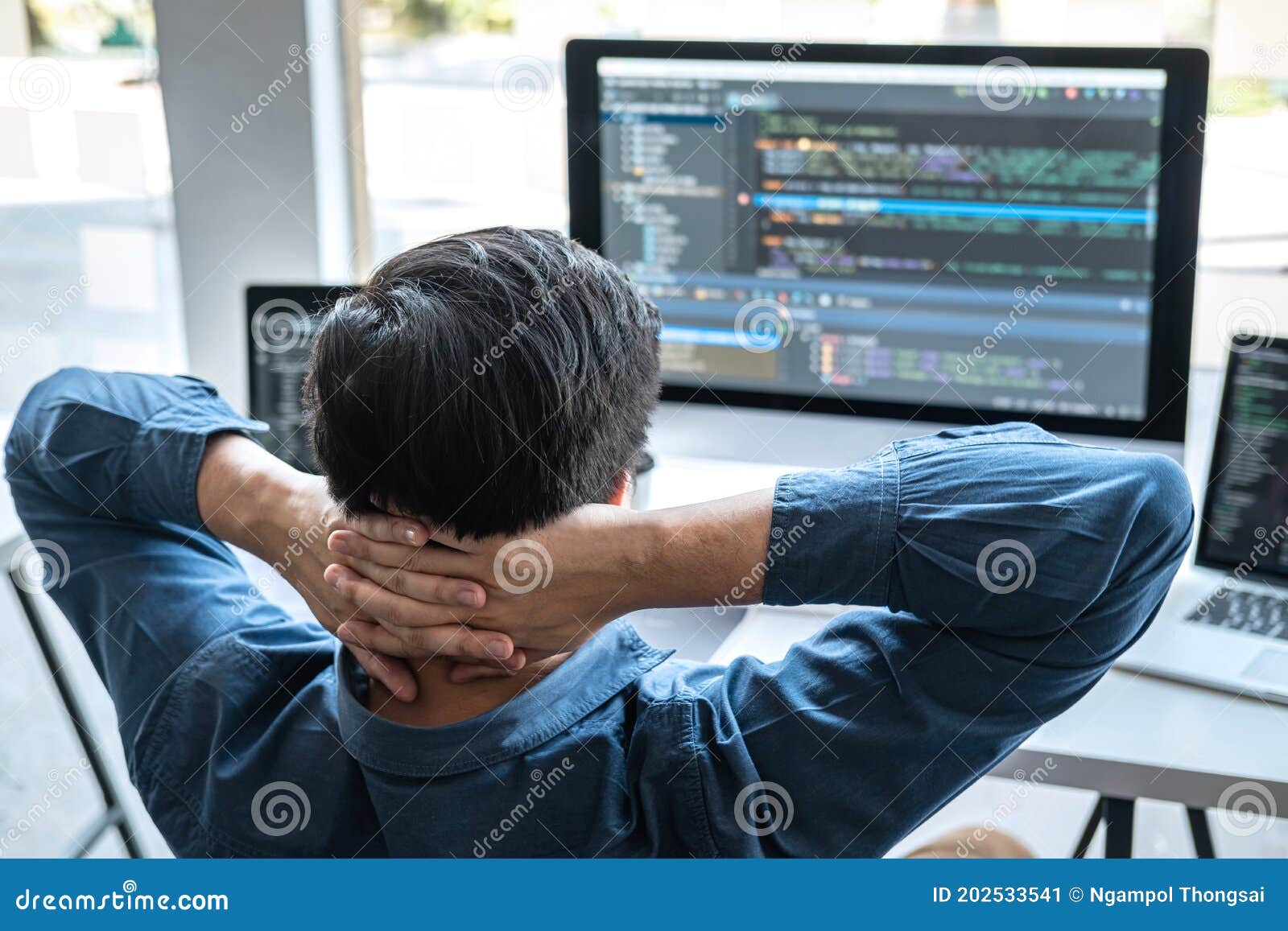 Professional Development Programmer Working in Programming Website a ...