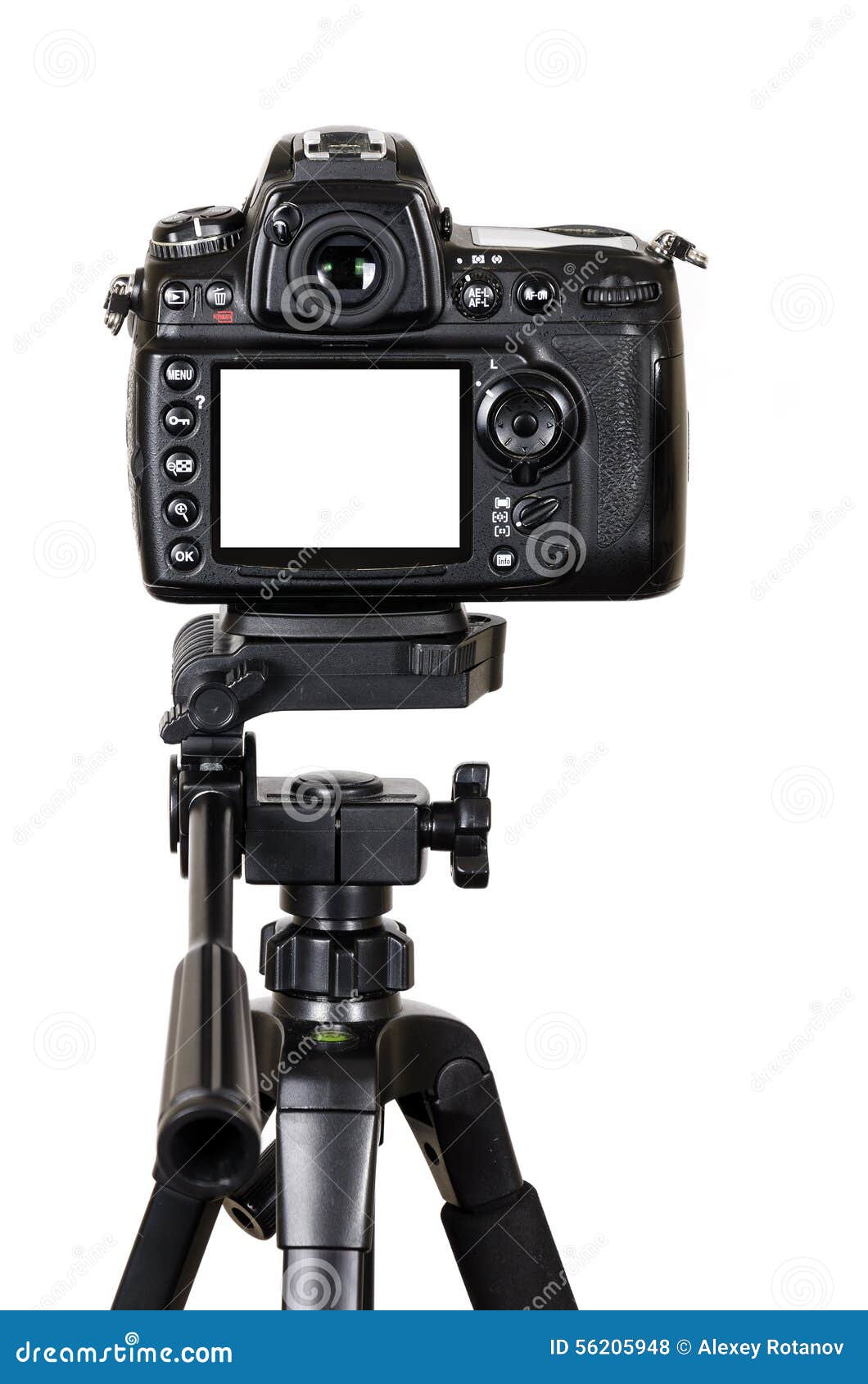 Professional Video Camera Screen