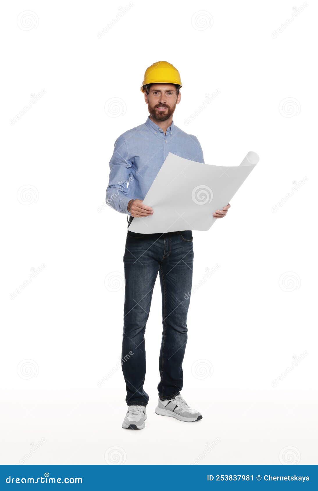 Professional Engineer in Hard Hat with Draft Isolated on White Stock ...