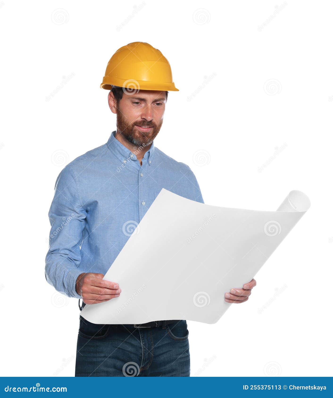 Professional Engineer in Hard Hat with Draft Isolated on White Stock ...