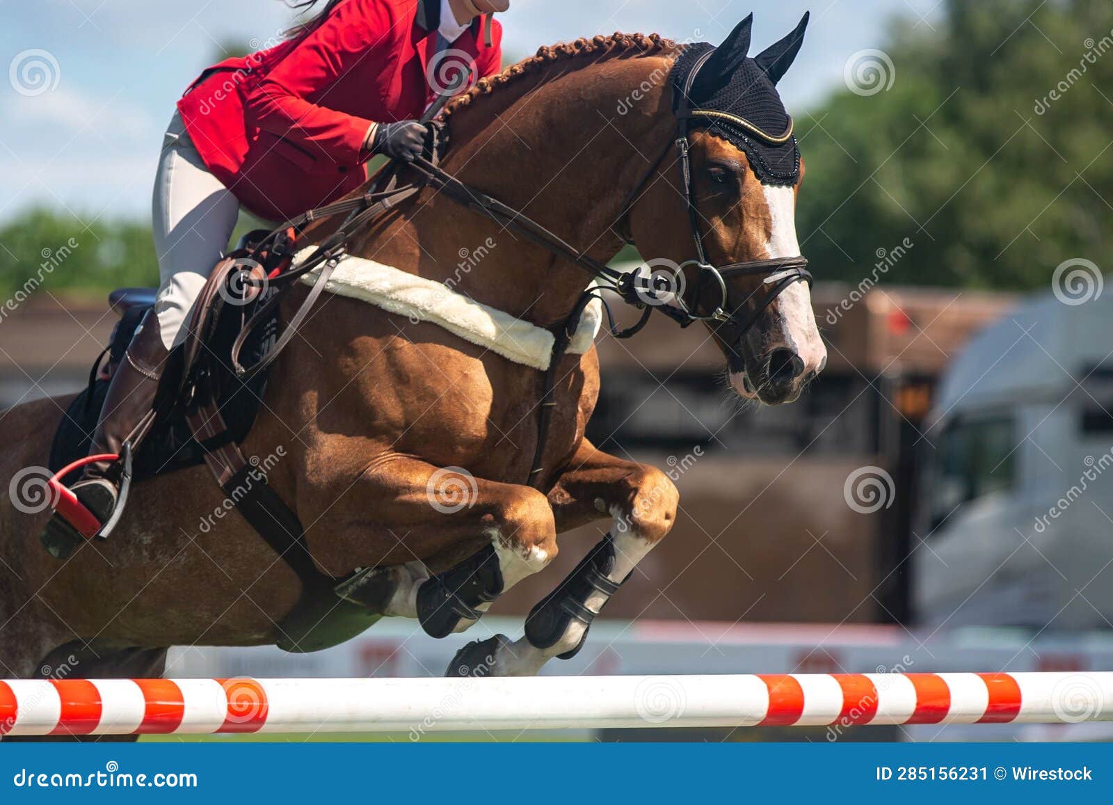 Professional Equestrian on a Horse Jumping Over a Hurdle at a ...