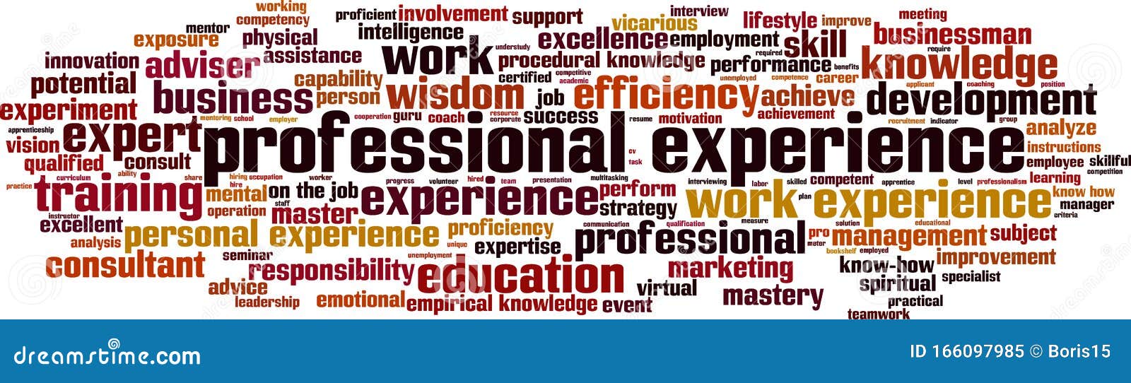 Professional Experience Word Cloud Stock Vector - Illustration of ...