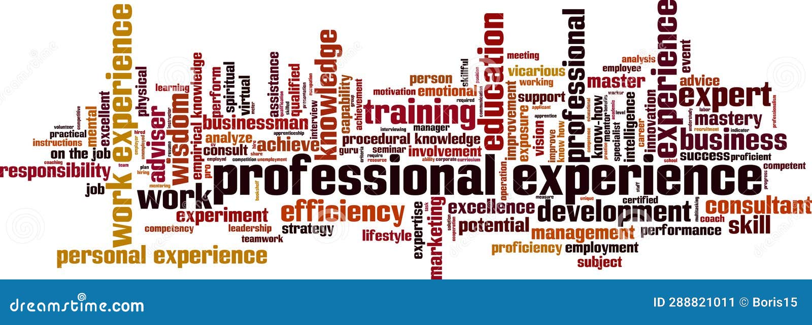 Professional Experience Word Cloud Stock Vector - Illustration of ...