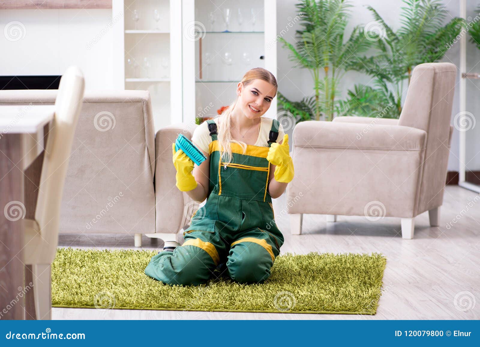 The Professional Female Cleaner Cleaning Carpet Stock Photo - Image of ...