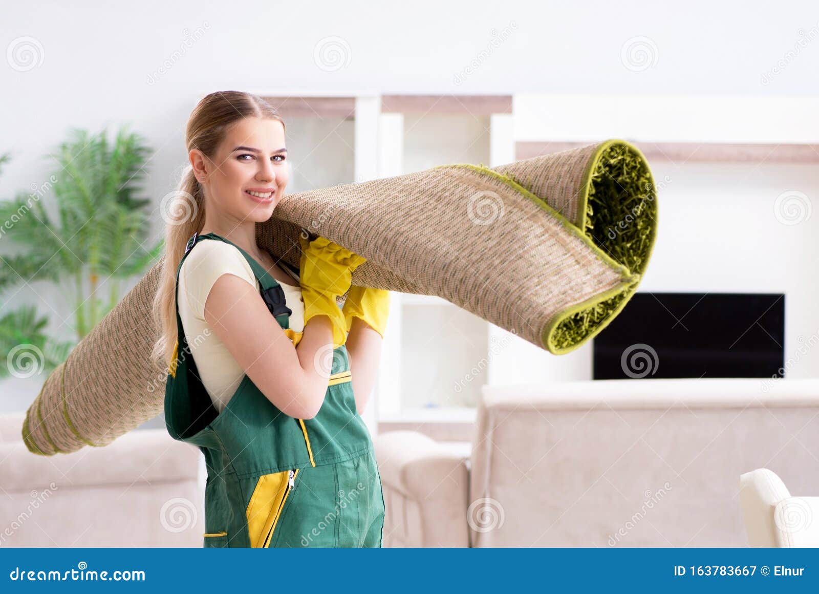Professional Female Cleaner Cleaning Carpet Stock Image - Image of ...