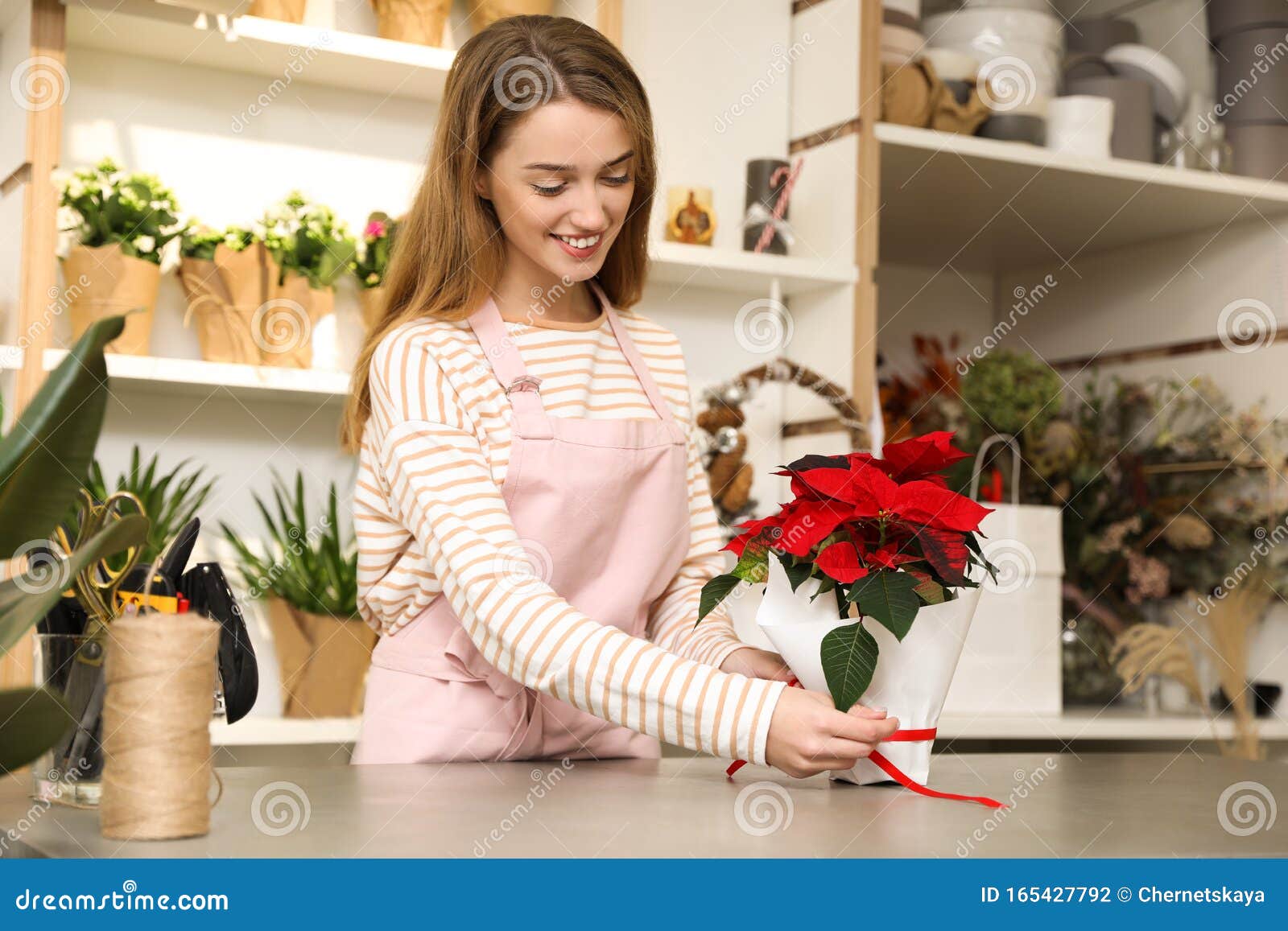 Professional Female Florist in Apron Stock Photo - Image of female ...