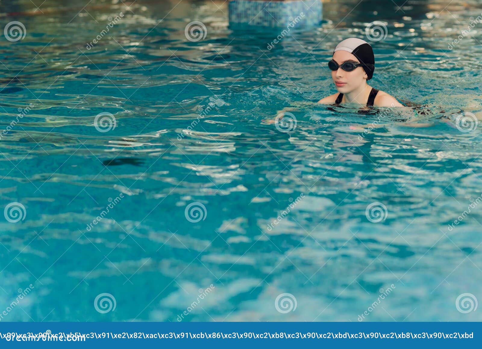 Professional Female Swimmer Training in a Swimming Pool. Stock Image ...