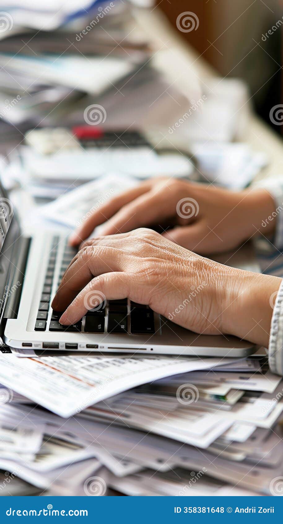 Professional Financial Data Entry for Precise Accounting and Document ...