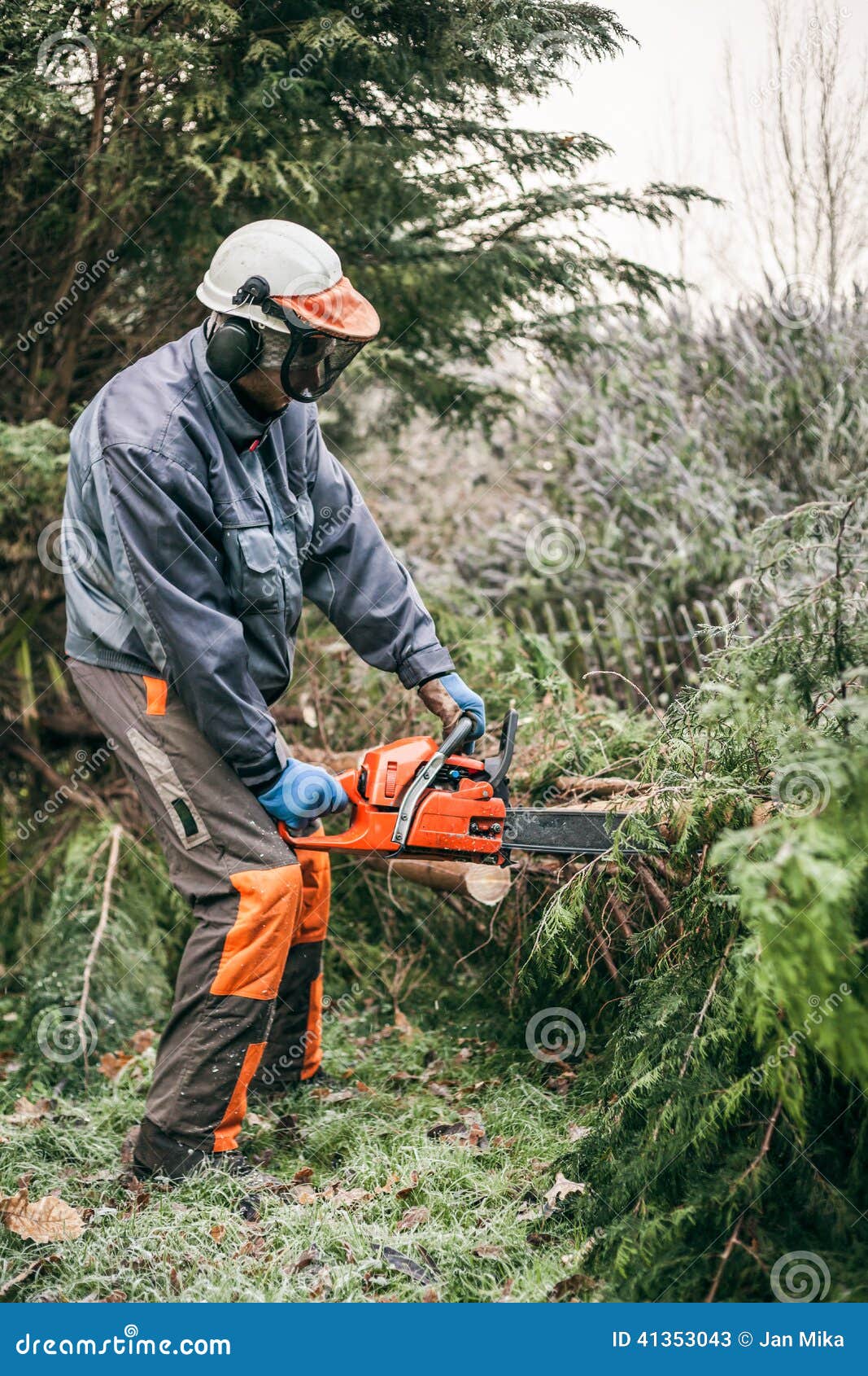 Professional Gardener Using Chainsaw Stock Image - Image of garden ...