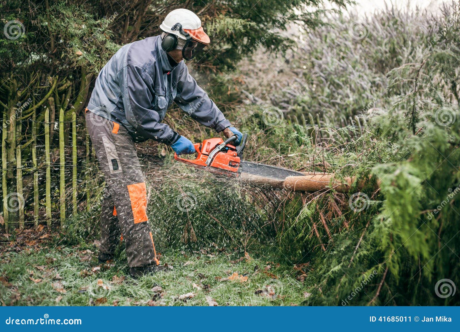 Professional Gardener Using Chainsaw Stock Image - Image of adult ...