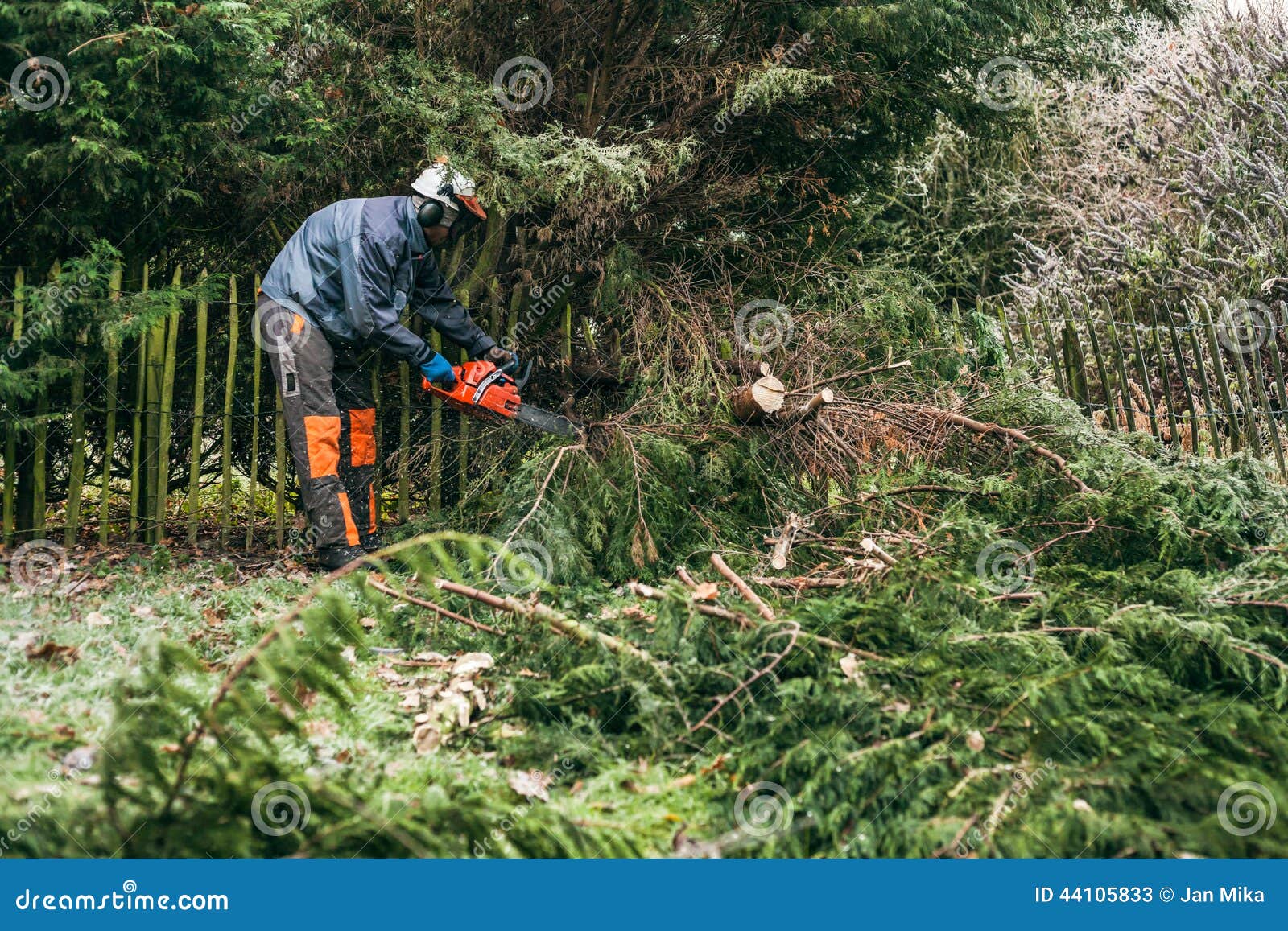 Professional Gardener Using Chainsaw Stock Image - Image of people ...