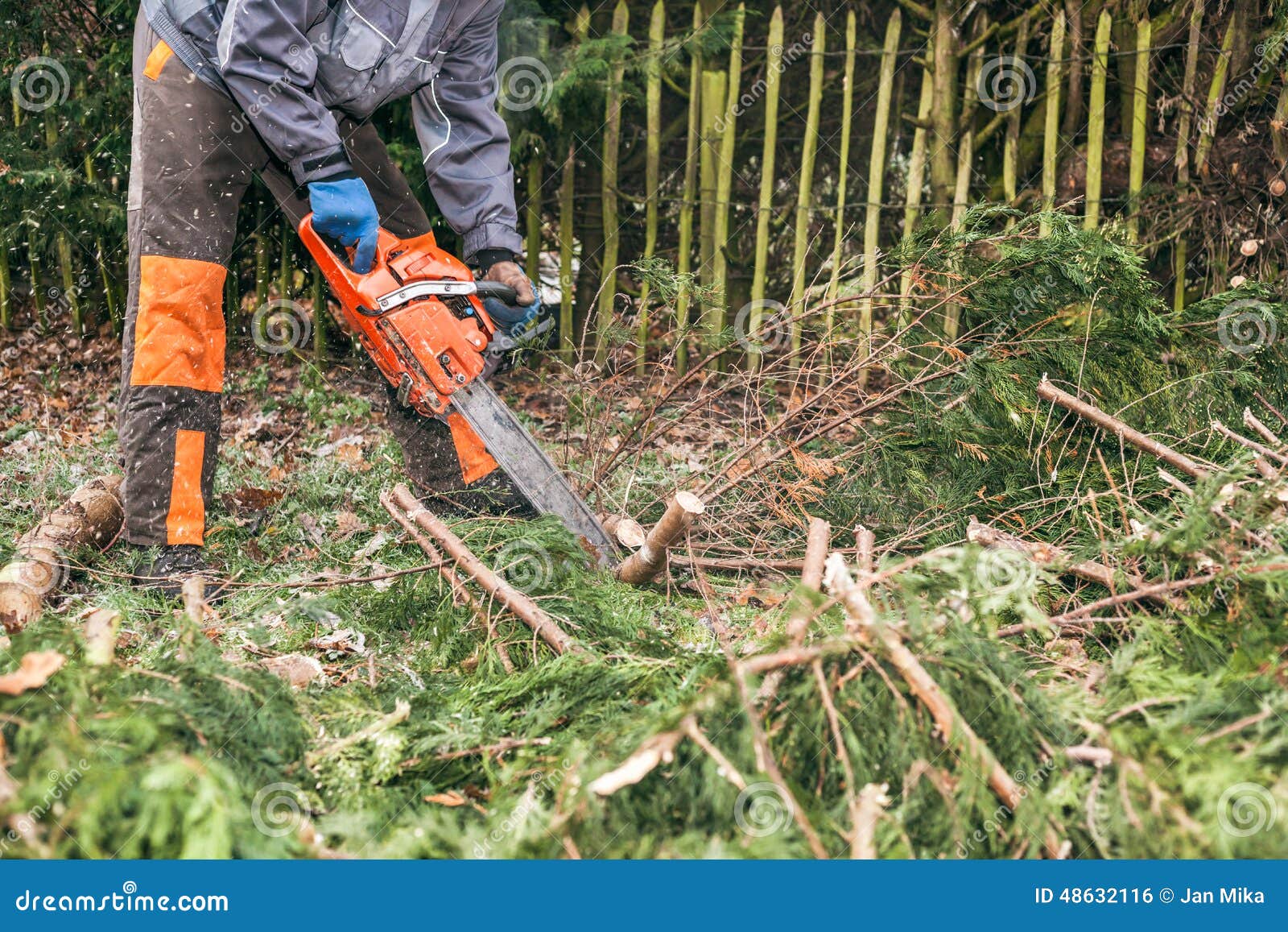 Professional Gardener Using Chainsaw Stock Photo - Image of lumberjack ...