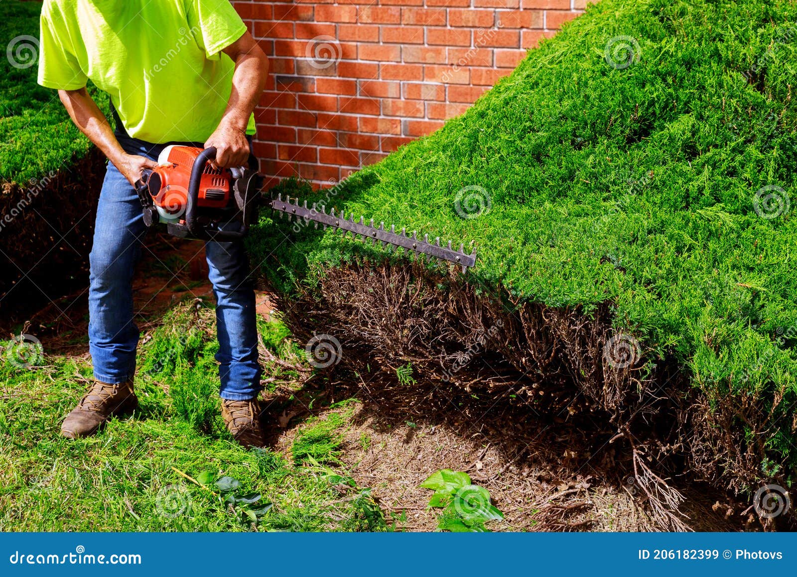Professional Gardner Worker Using Lawn Mower For Cutting Grass In ...