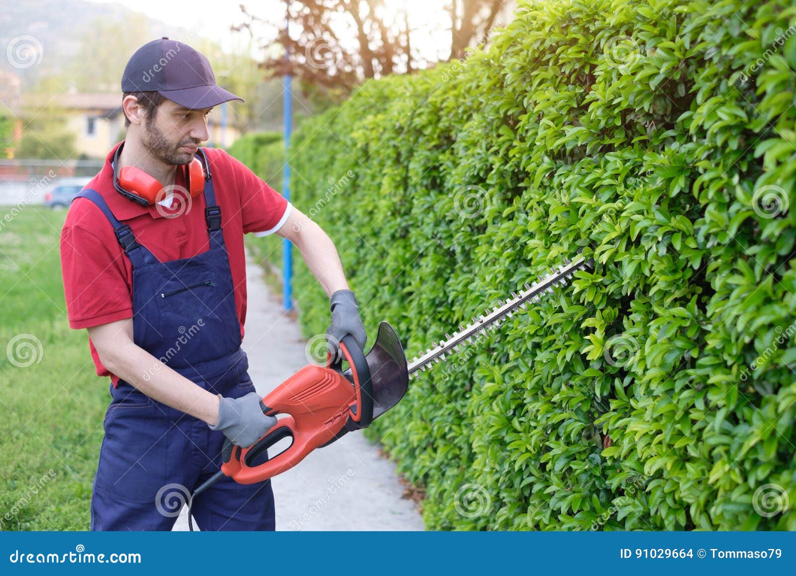 Professional Gardner Worker Using Lawn Mower For Cutting Grass In ...
