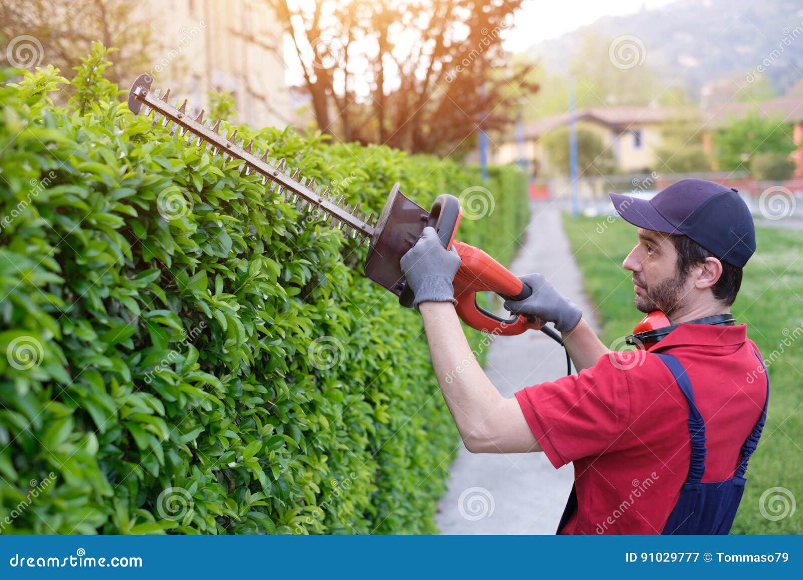 Professional Gardner Worker Using Lawn Mower For Cutting Grass In ...