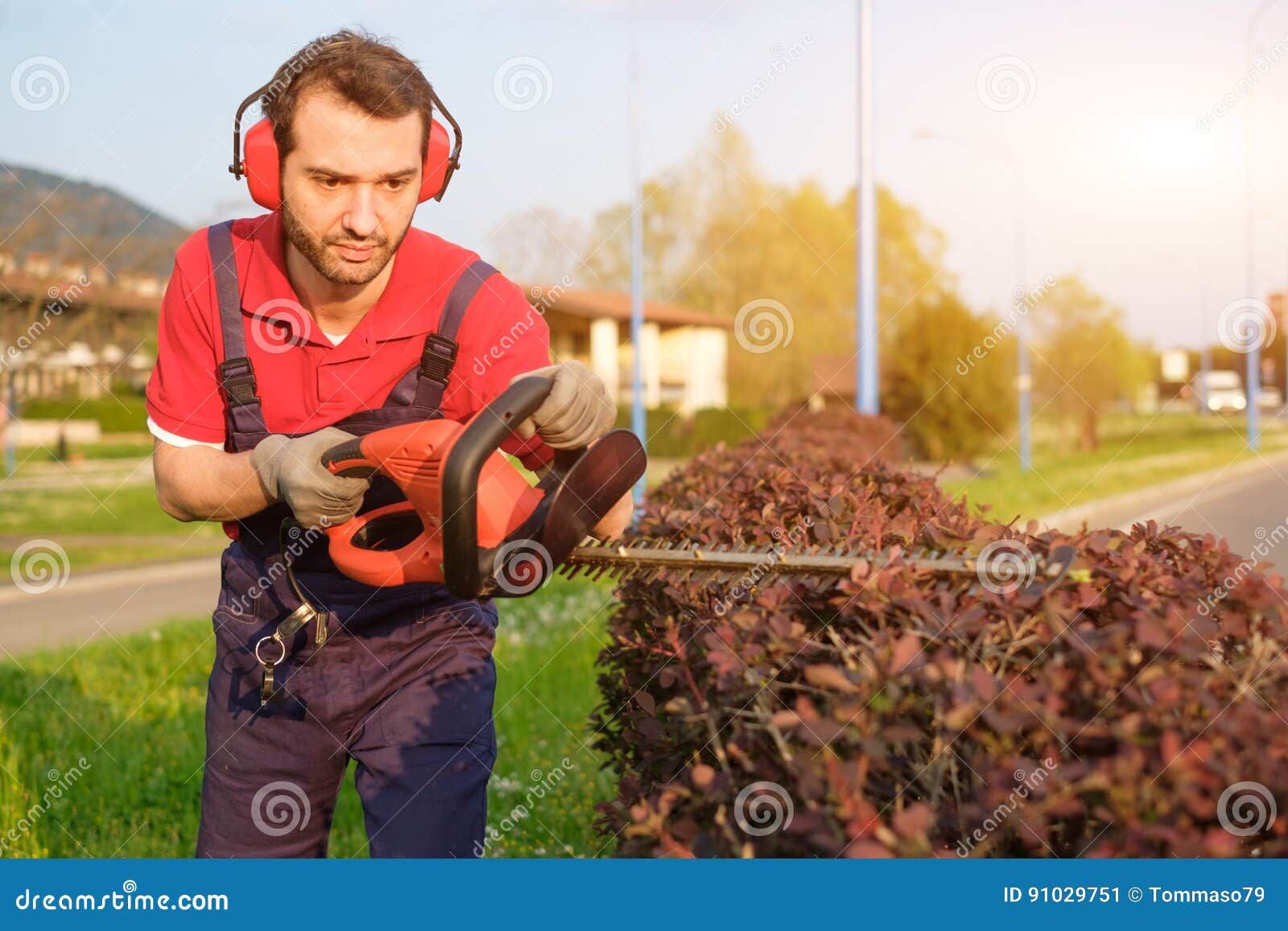 Professional Gardner Worker Using Lawn Mower For Cutting Grass In ...